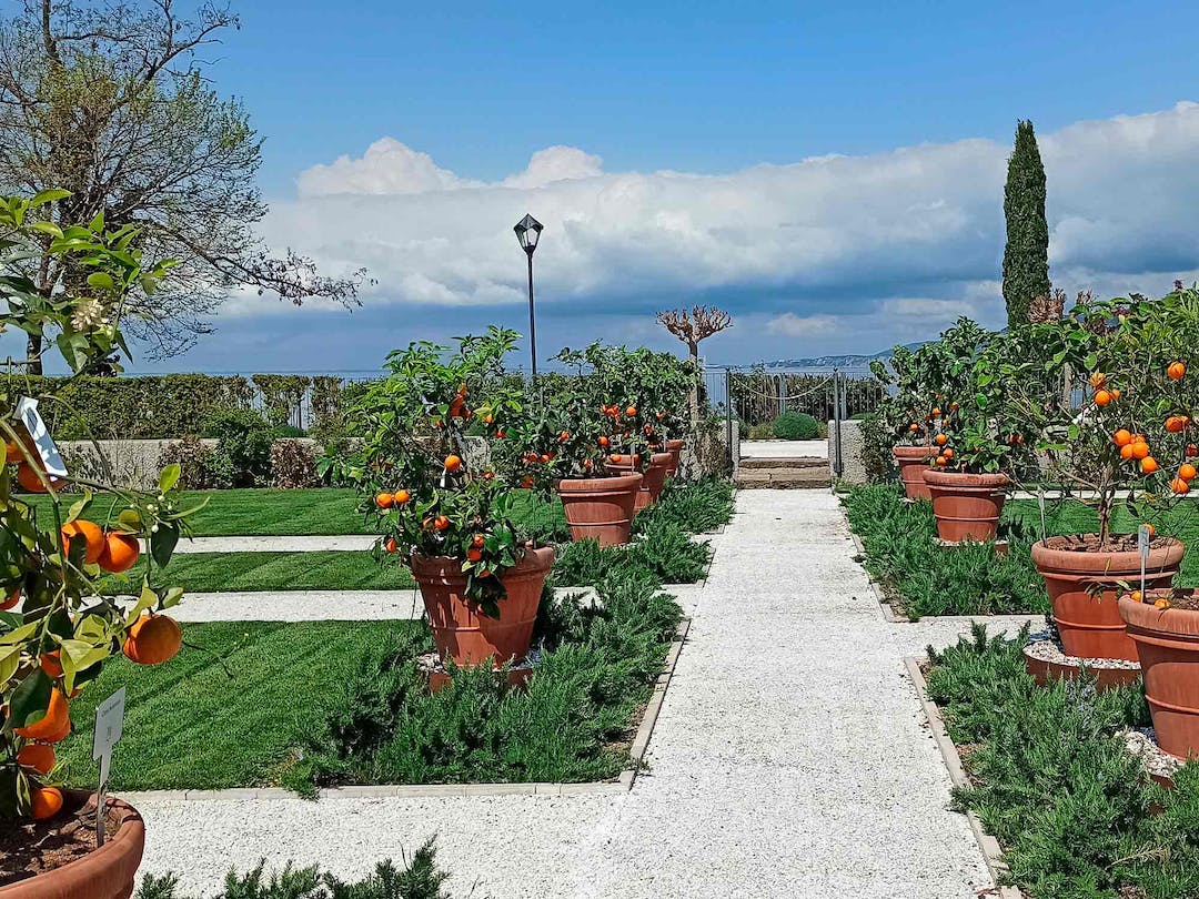 Museo Storico e il Parco del Castello di Miramare - European Route of ...