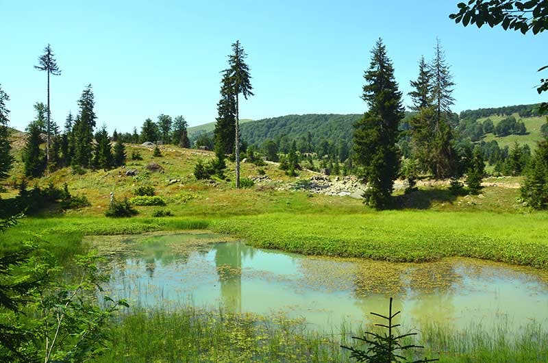 Batumi Botanical Garden - European Route of Historic Gardens